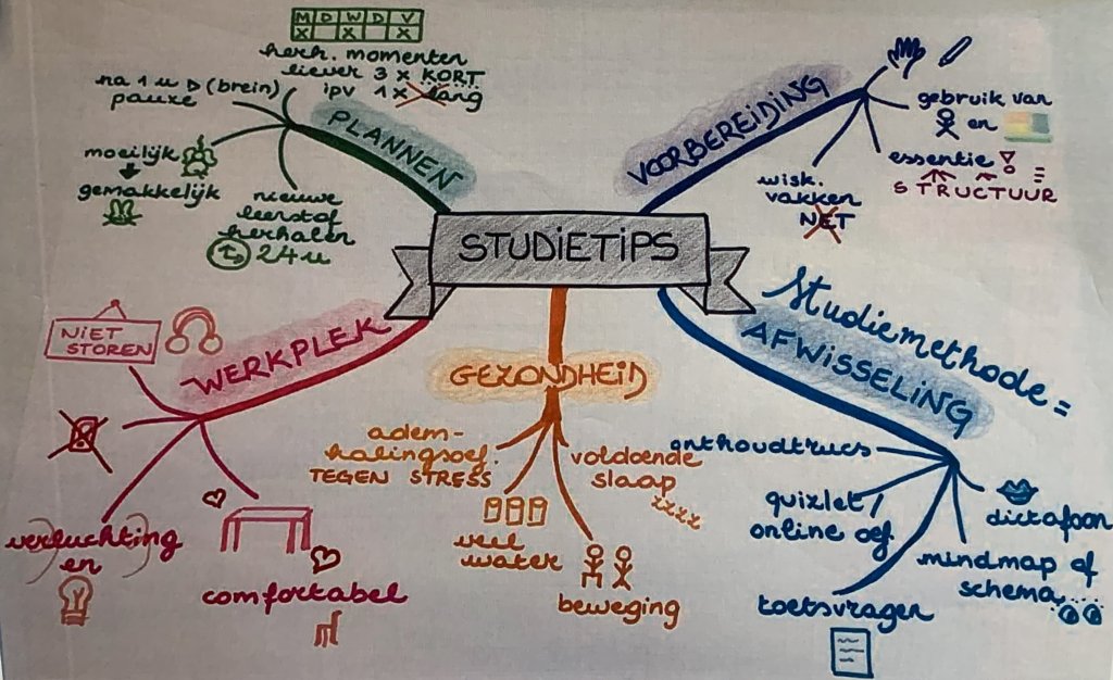 Hoe een examenplanning metacognitieve vaardigheden versterkt | Leerpunt